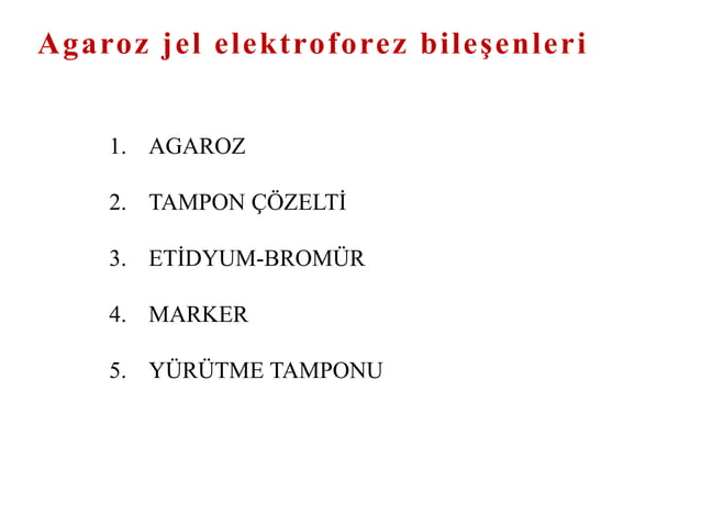 Agaroz Jel Elektroforezi & İki Boyutlu Jel Elektroforez | PPTX