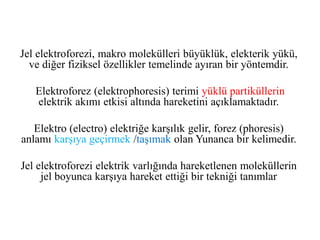 Agaroz Jel Elektroforezi & İki Boyutlu Jel Elektroforez | PPTX