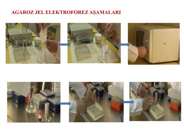 Agaroz Jel Elektroforezi & İki Boyutlu Jel Elektroforez | PPTX