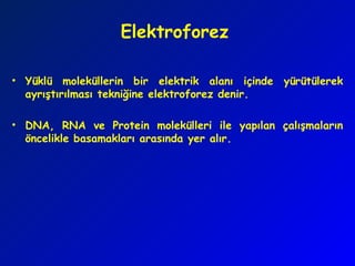 Elektroforezİlginizi Çekebilecek Sunumlar_akademiksunum.ppt