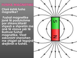 Elektrostatika | PPT