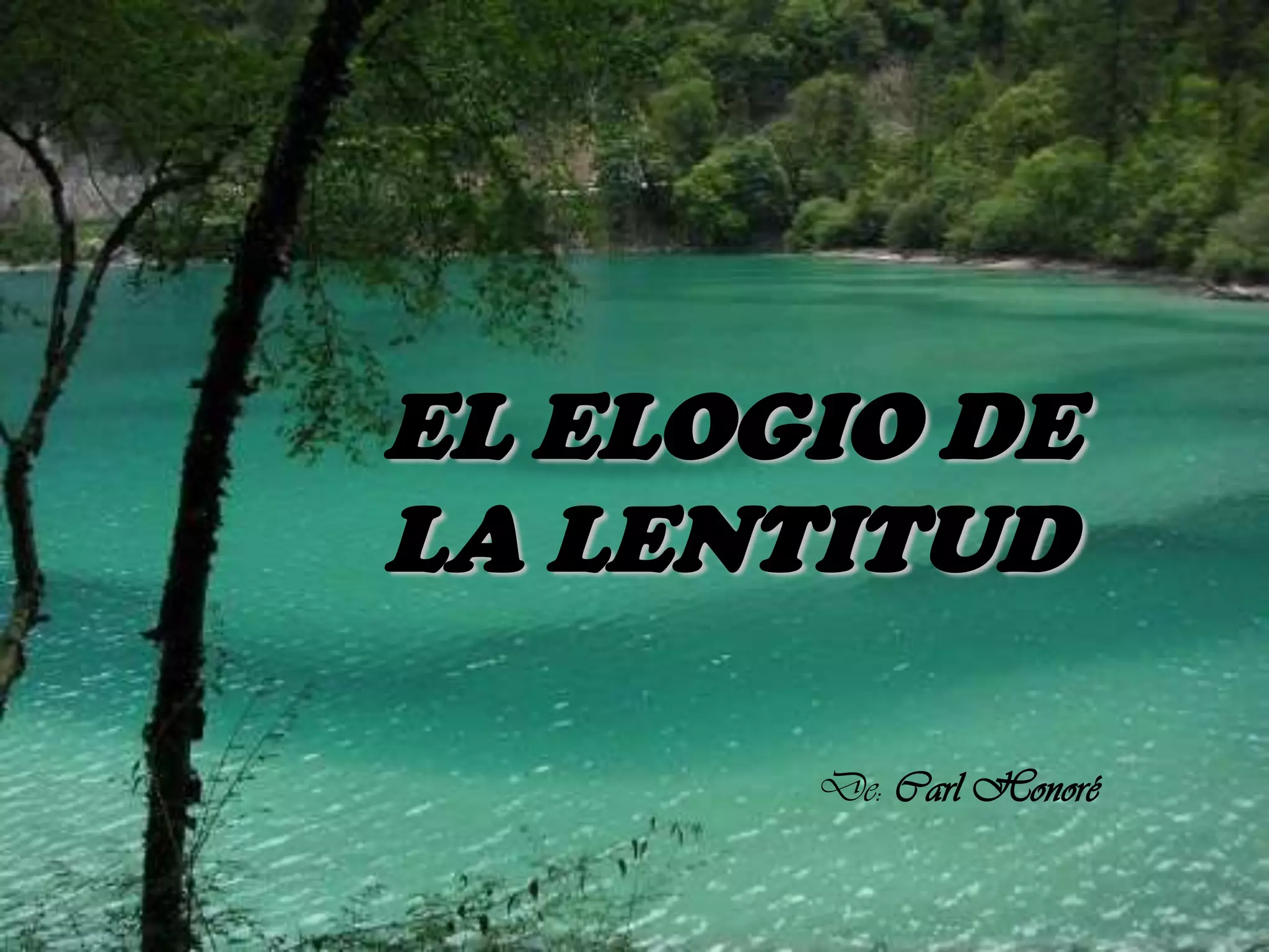 El elogio de la lentitud | PPS