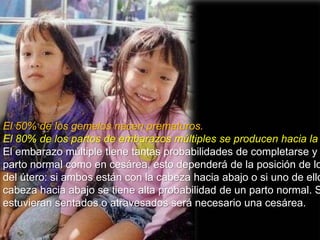 El Embarazo | PPSX