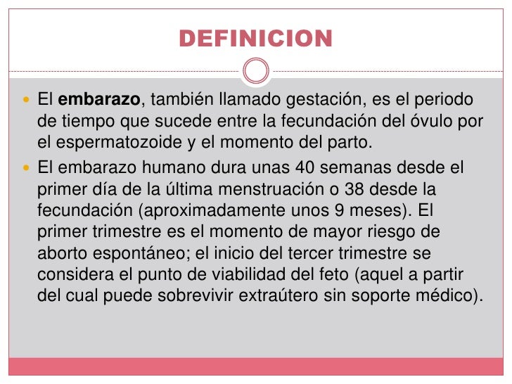 El embarazo y sus etapas - Imagui