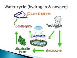 Elemental cycles and crop rotation | PPT