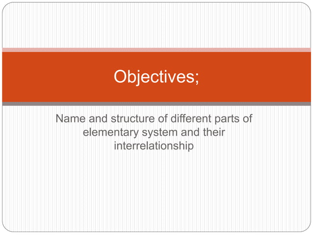 Elementary Canal Anatomy of Human Being.pptx | Ear, Nose and Throat ...