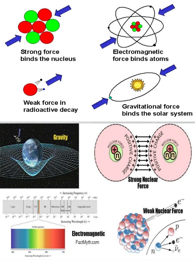 Elementary Particles