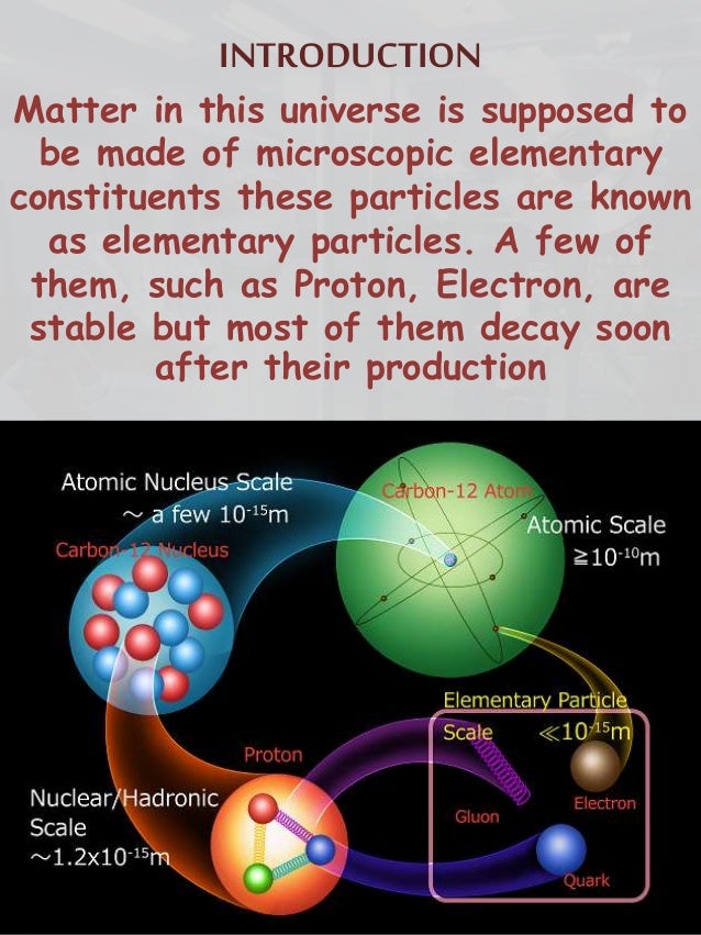 Elementary Particles