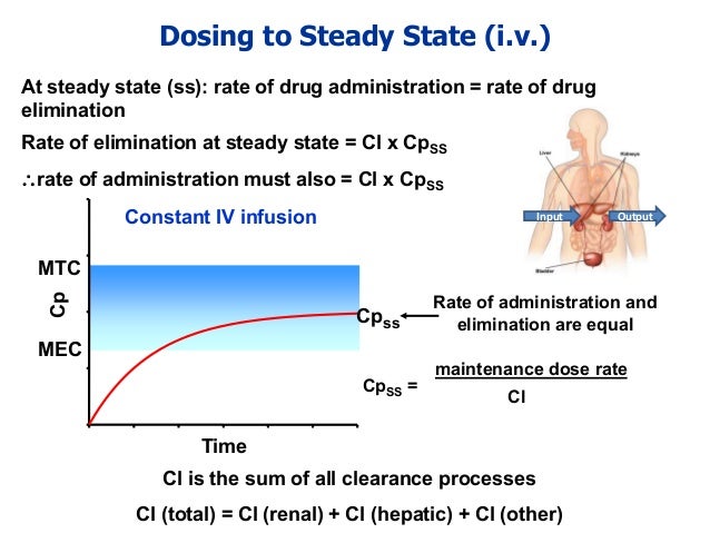 Elementary pharmacokinetics jap