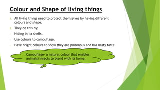 Elementary SCIENCE Notes Yr 4 LIVING THINGS AND THE ENVIRONMENT | PPTX