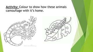 Elementary SCIENCE Notes Yr 4 LIVING THINGS AND THE ENVIRONMENT | PPTX