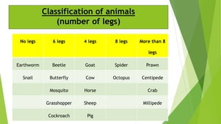 Elementary SCIENCE Notes Yr 4 LIVING THINGS AND THE ENVIRONMENT | PPTX