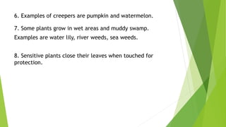 Elementary SCIENCE Notes Yr 4 LIVING THINGS AND THE ENVIRONMENT | PPTX