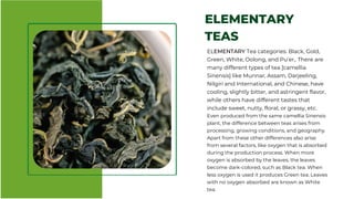 ELEMENTARY TEAS | PDF