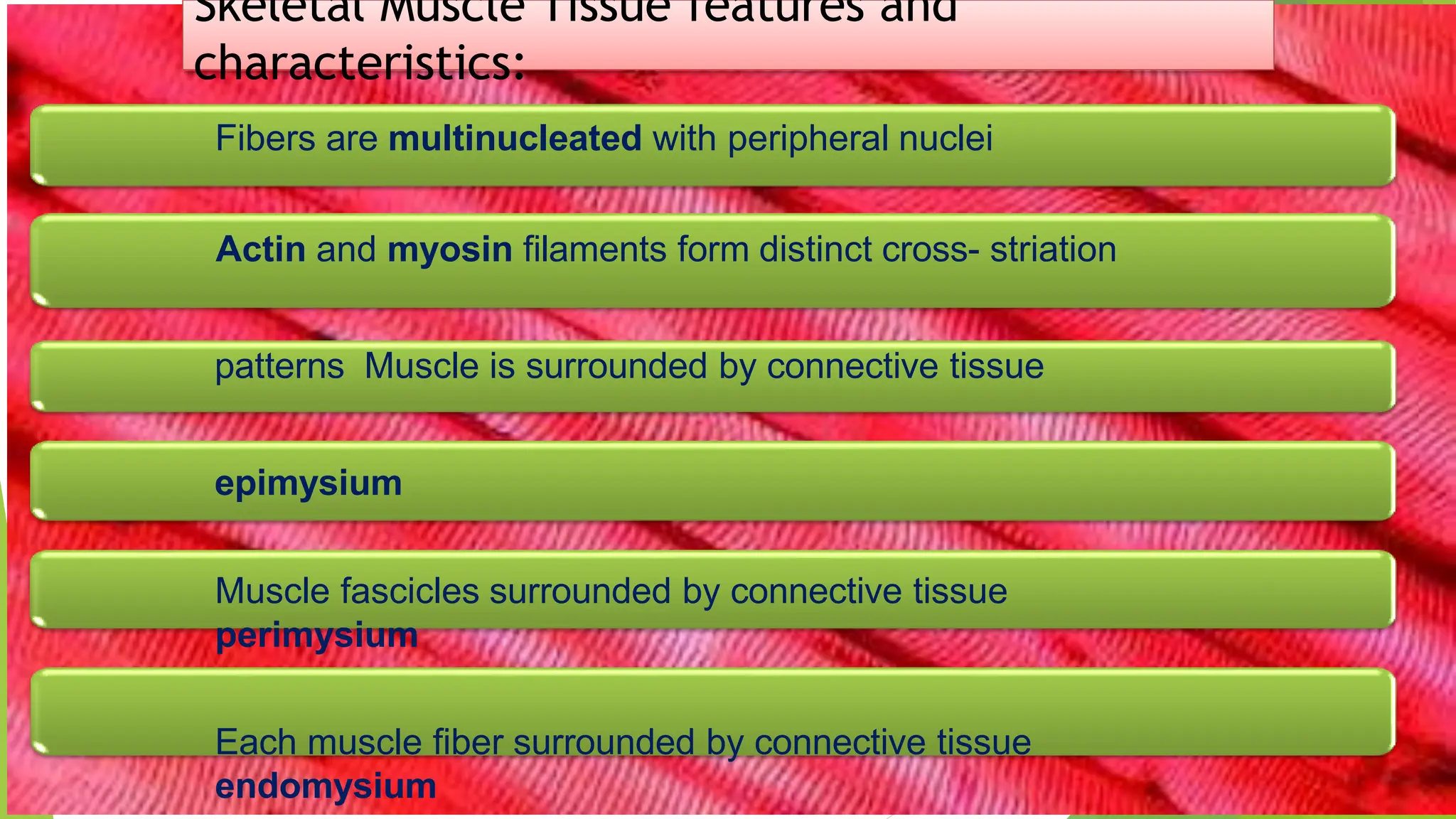ELEMENTARY TISSUE PPT & Types of tissues | PPTX
