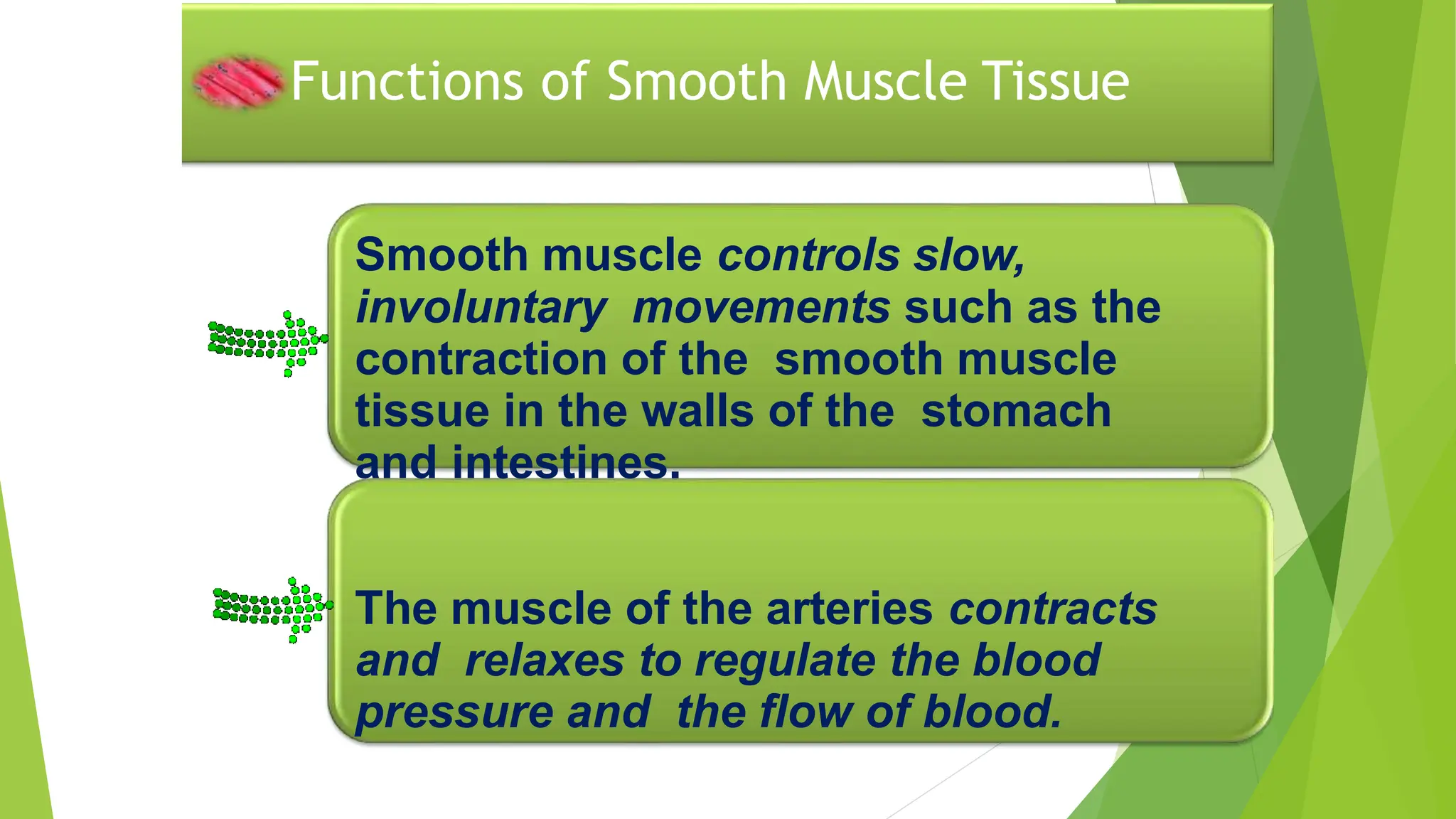 ELEMENTARY TISSUE PPT & Types of tissues | PPTX