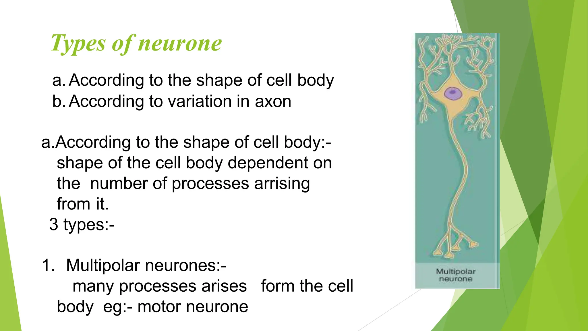 Elementary Tissue Ppt And Types Of Tissues Pptx