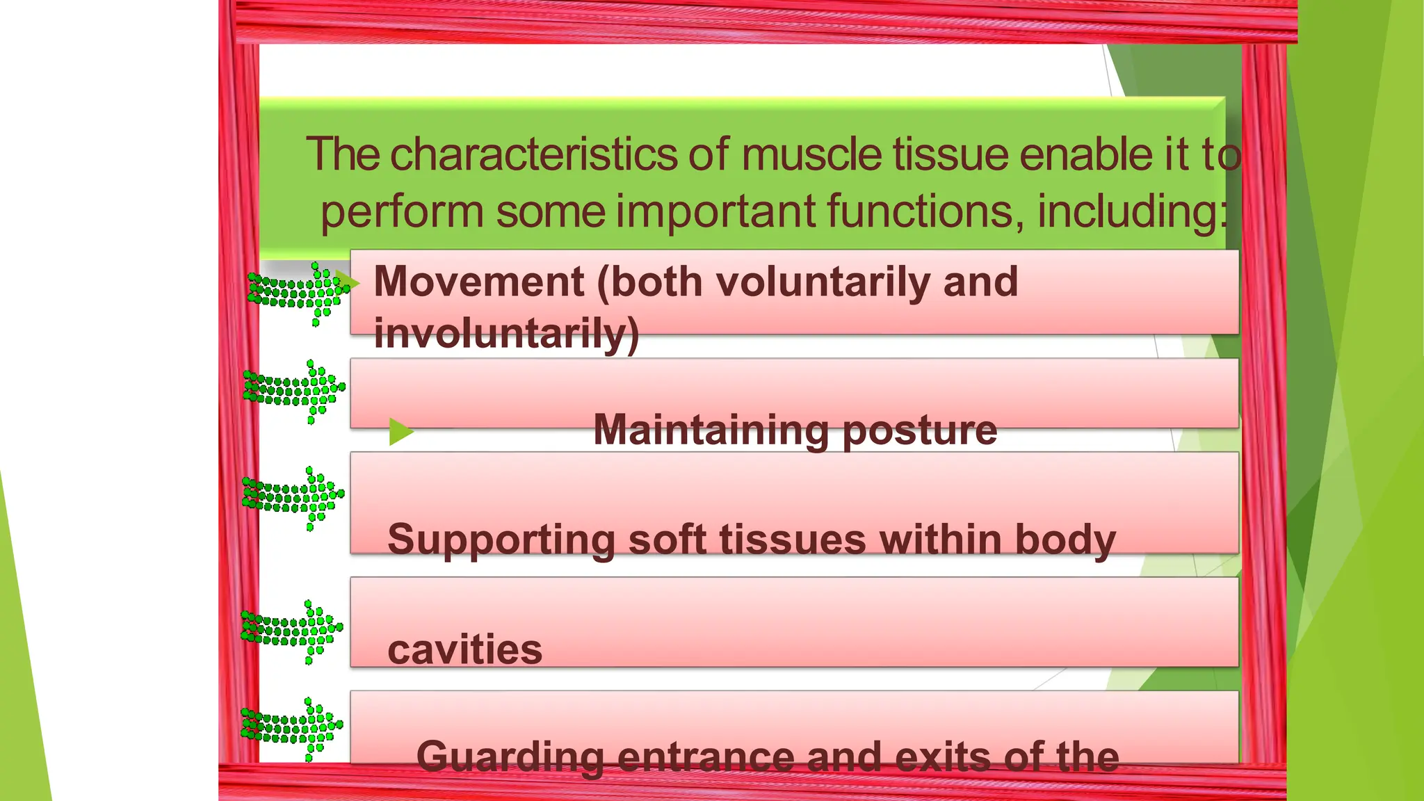 ELEMENTARY TISSUE PPT & Types of tissues | PPTX