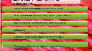 ELEMENTARY TISSUE PPT & Types of tissues | PPTX