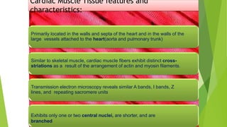 ELEMENTARY TISSUE PPT & Types of tissues | PPTX