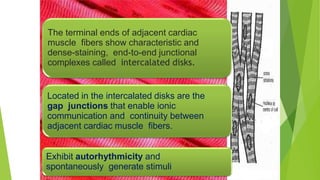 ELEMENTARY TISSUE PPT & Types of tissues | PPTX