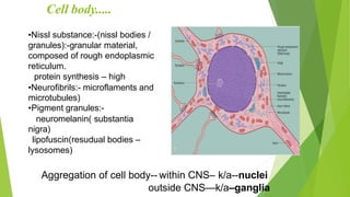 ELEMENTARY TISSUE PPT & Types of tissues | PPTX
