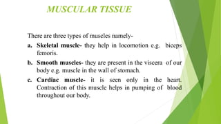 ELEMENTARY TISSUE PPT & Types of tissues | PPTX