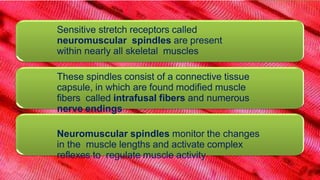 ELEMENTARY TISSUE PPT (2).pptx