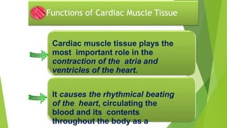 ELEMENTARY TISSUE PPT (2).pptx