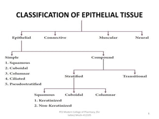 Elementary Tissues | PPTX