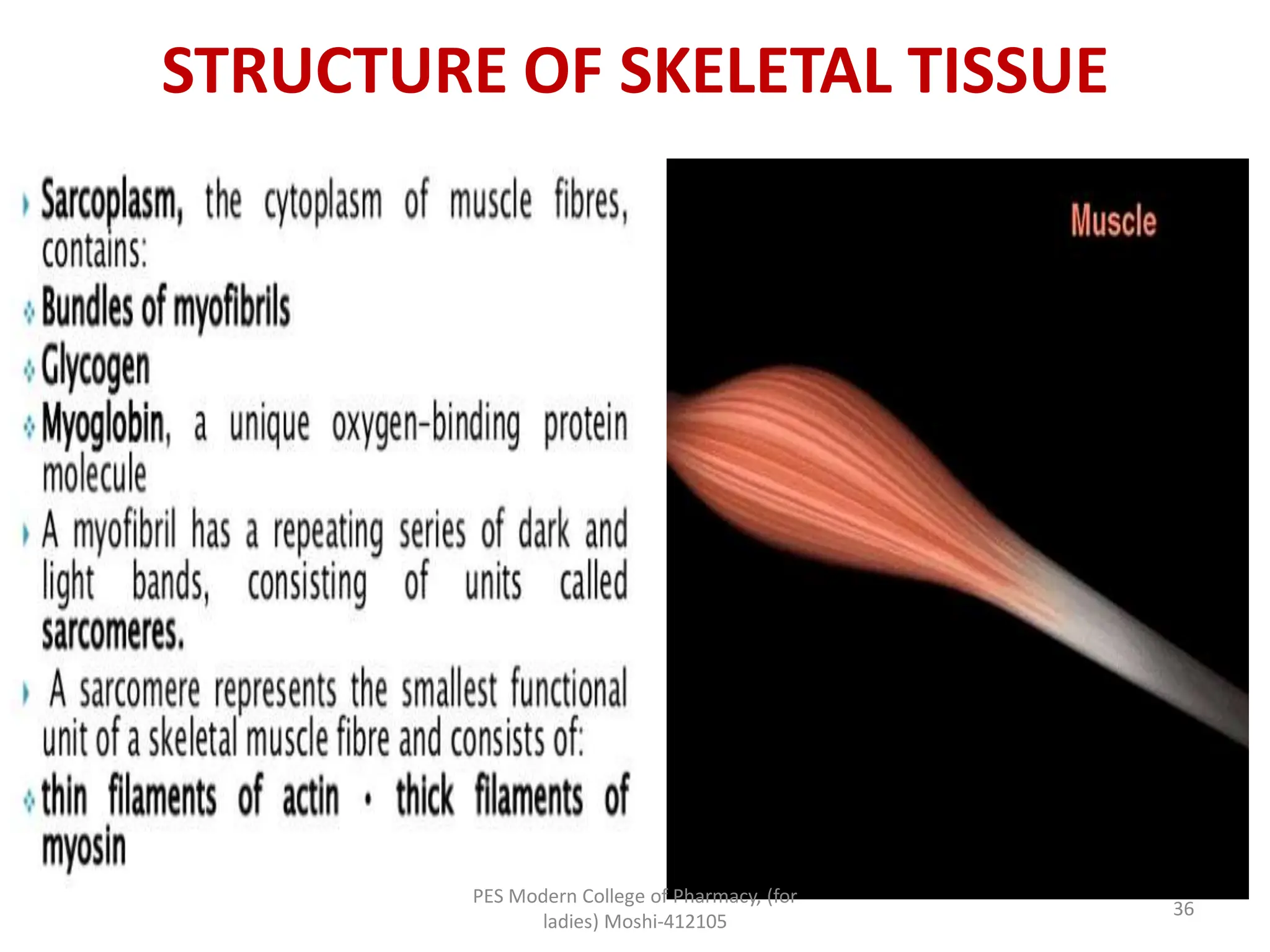 elementry tissue hap 2nd chapter we learn the tissue,itss type ...