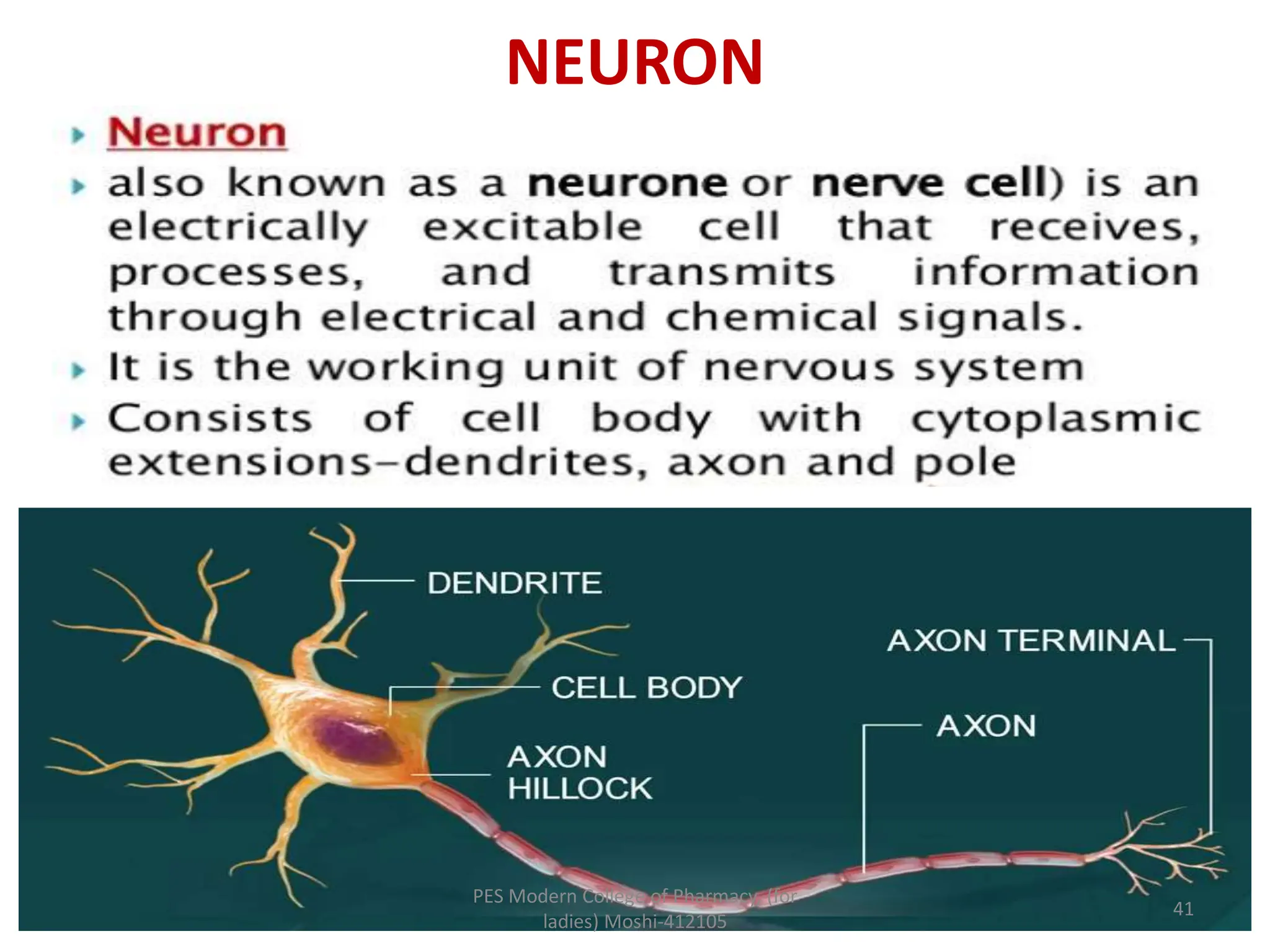elementry tissue hap 2nd chapter we learn the tissue,itss type ...