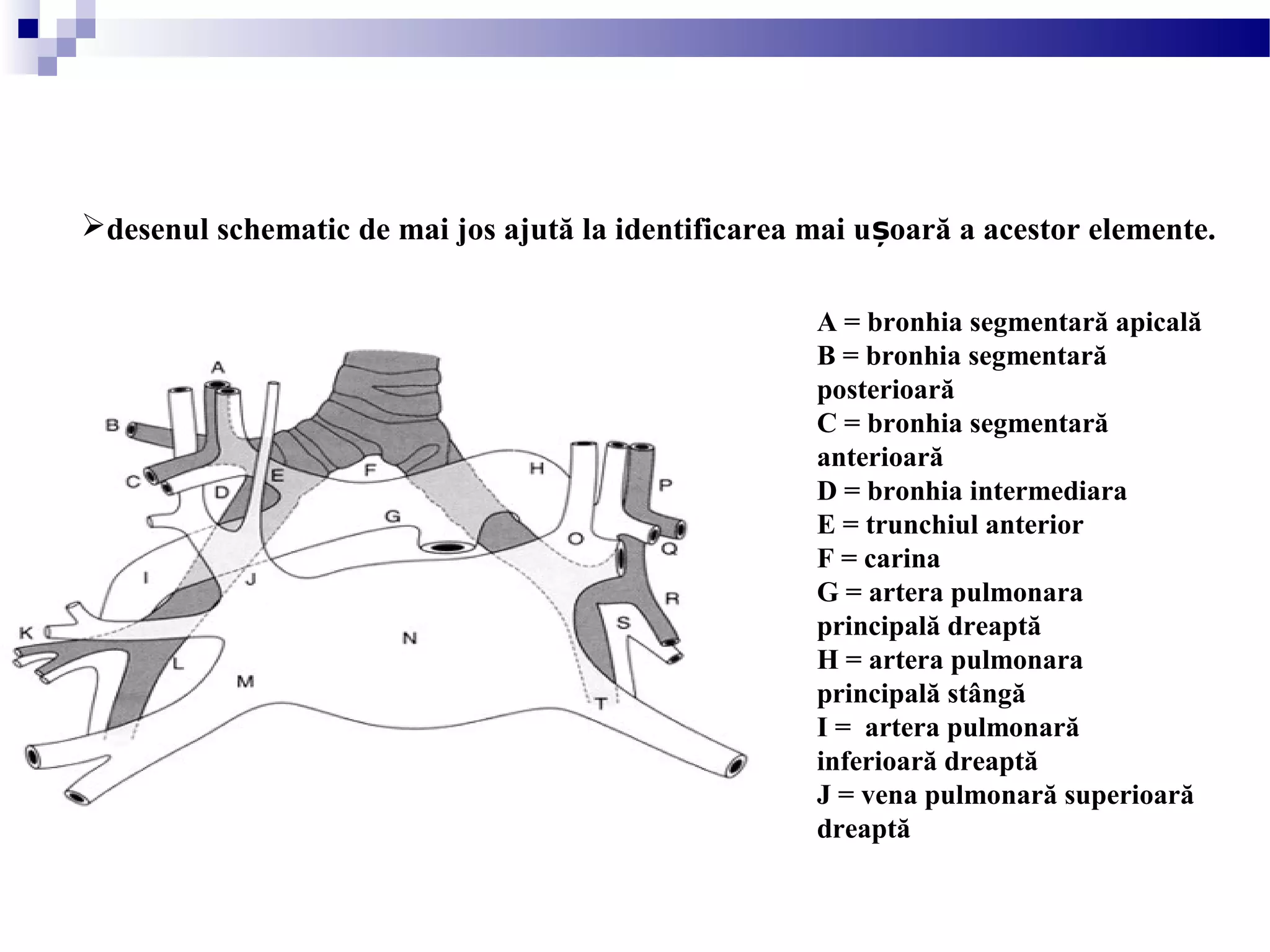Elemente de radiologie pentru rezidenti | PPT