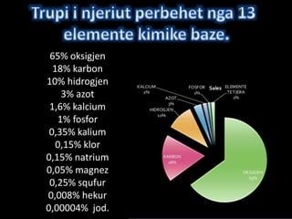 Elementet kimik ne trupin tone projekt kimi | PPTX