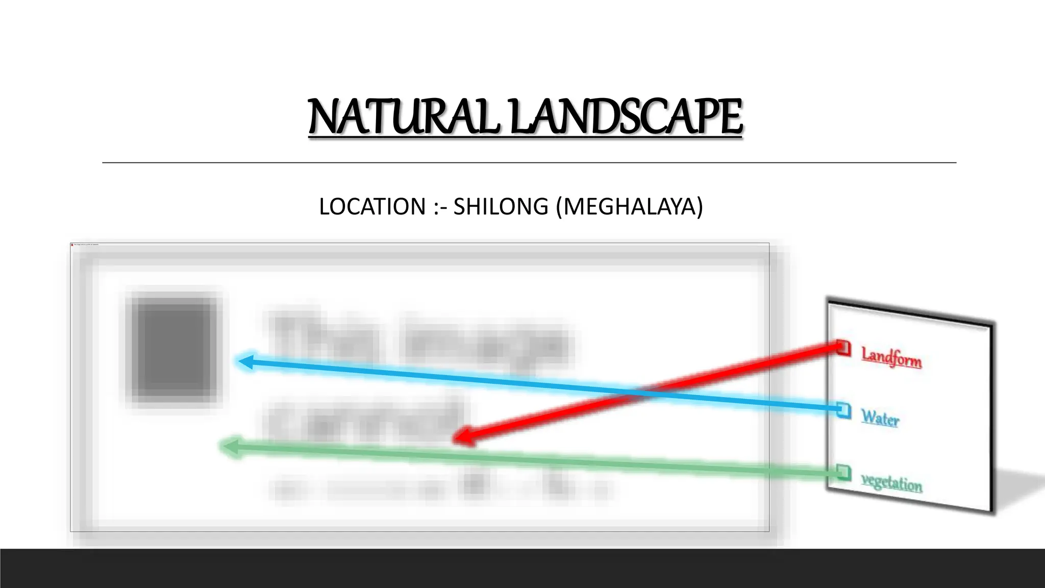 ELEMENT LANDSCAPE.pptx