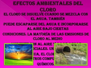 Elemento cloro | PPTX | Chemistry | Science