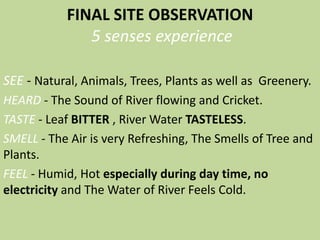 Element of natural and built environment power point | PPT