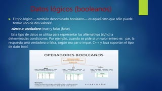 Elementos basicos de un programa | PPTX