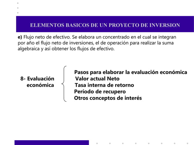 elementos_basicos_de_un_proyecto_de_inve.ppt | Business Accounting & Finance | Business