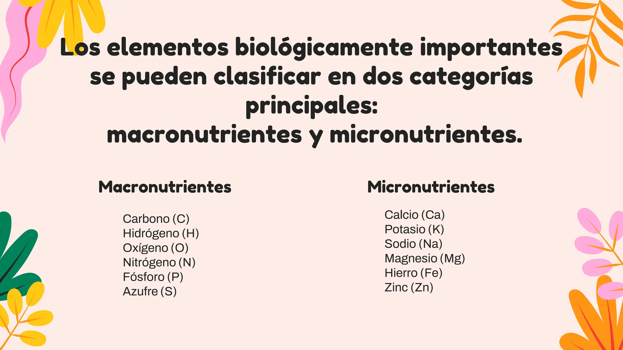 Elementos bio (4).pptx los mas importantes | PPT