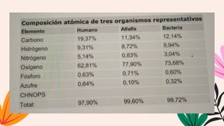 Elementos bio (4).pptx los mas importantes | PPTX