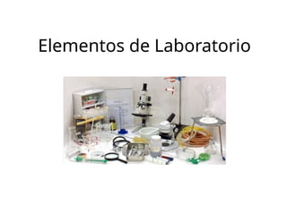 Elementos de Laboratorio 1er año biología | PPTX