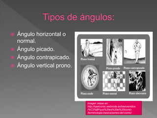 Elementos del cómics | PPTX