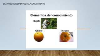 Elementos del conocimiento | PPTX