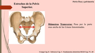 Elementos del parto, pelvis osea.pptx Deficiencia de inmunidad | PPTX