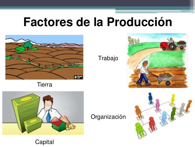 Elementos del sistema económico