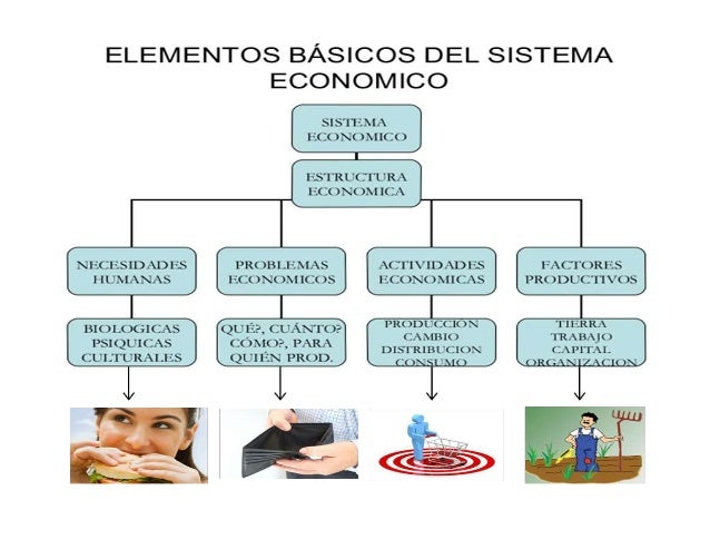 Elementos economicos