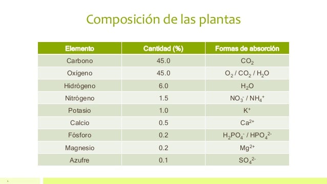 Elementos esenciales para las plantas