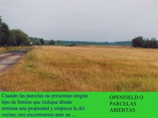 Elementospaisaje | PPT