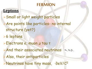 Elementry particles project by Jyotibhooshan chaturvedi | PPTX